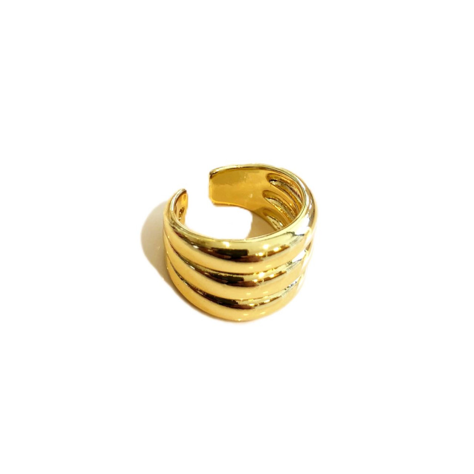 ANILLO